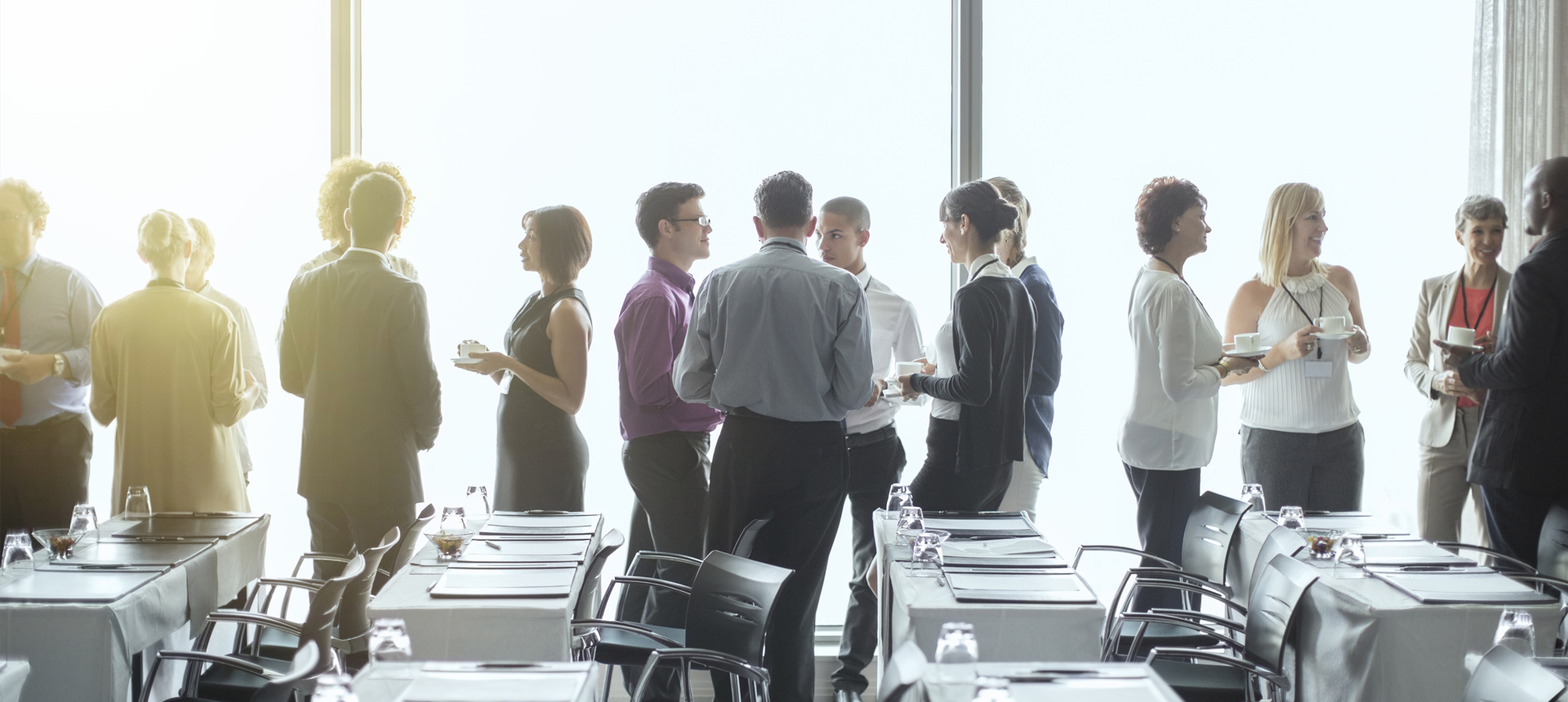 Meet our management team